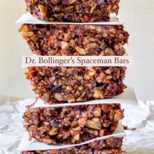 Dr. Bollinger's 'Spaceman' Breakfast Bars - Nest Wellness